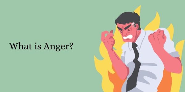 Anger vs Frustration | What's the Difference